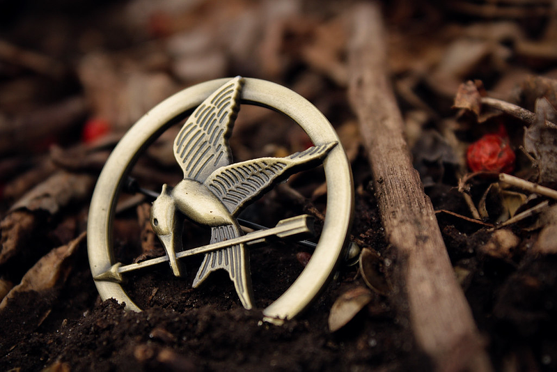 The Hunger Games By Suzanne Collins Activities - Reading Schools